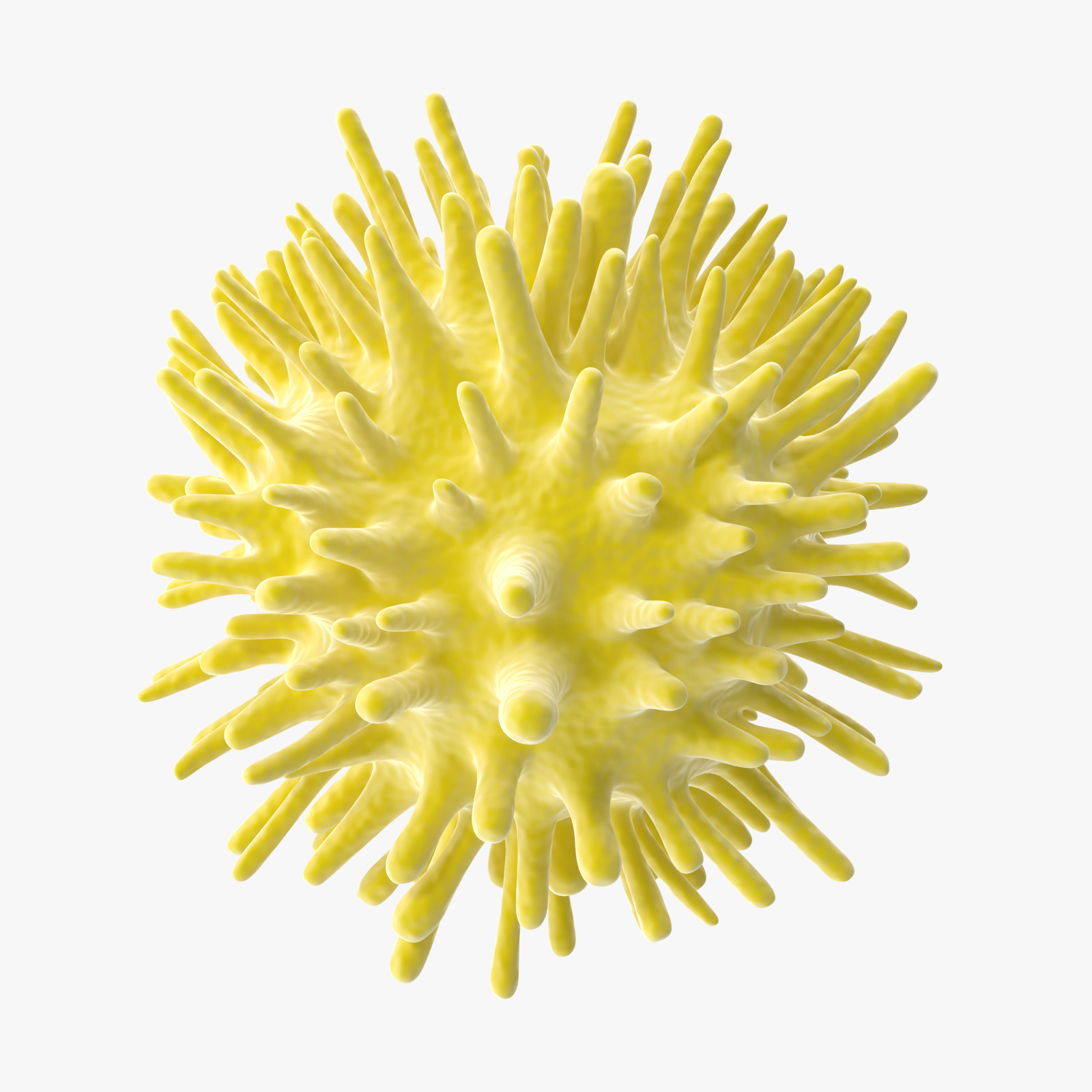 13 viruses virus 3d model
