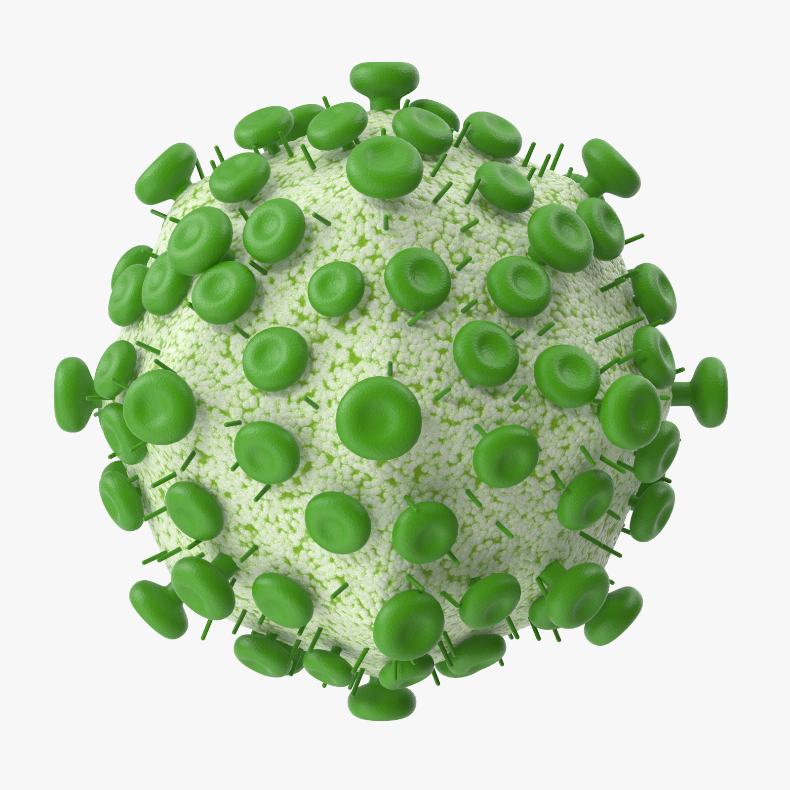 13 viruses virus 3d model