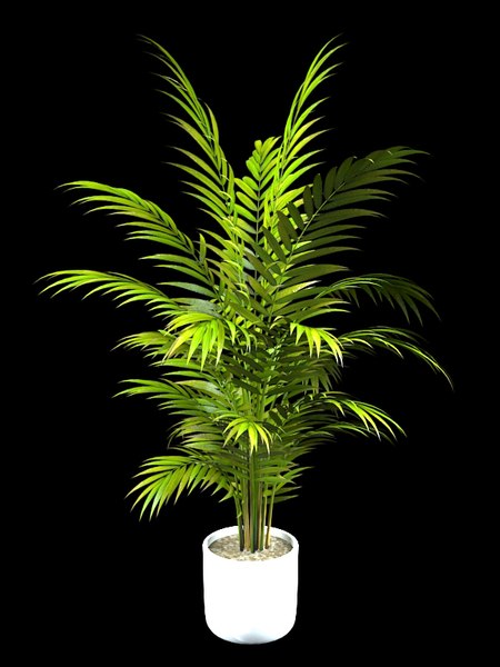 palm tree 3d max
