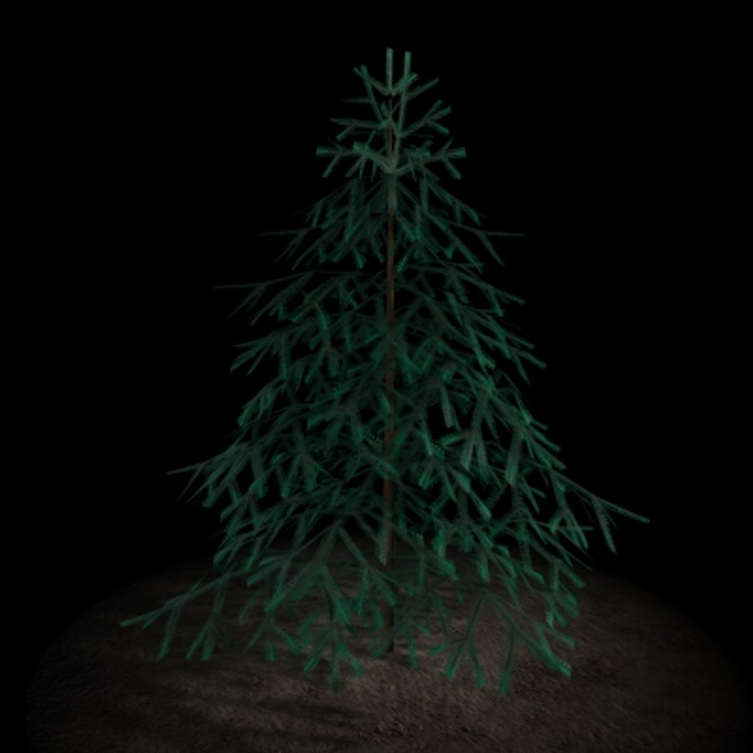 Max Firtree Xmas Tree
