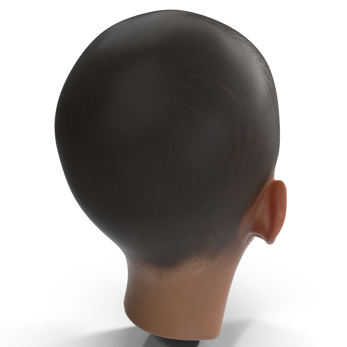 boy head 3d 3ds