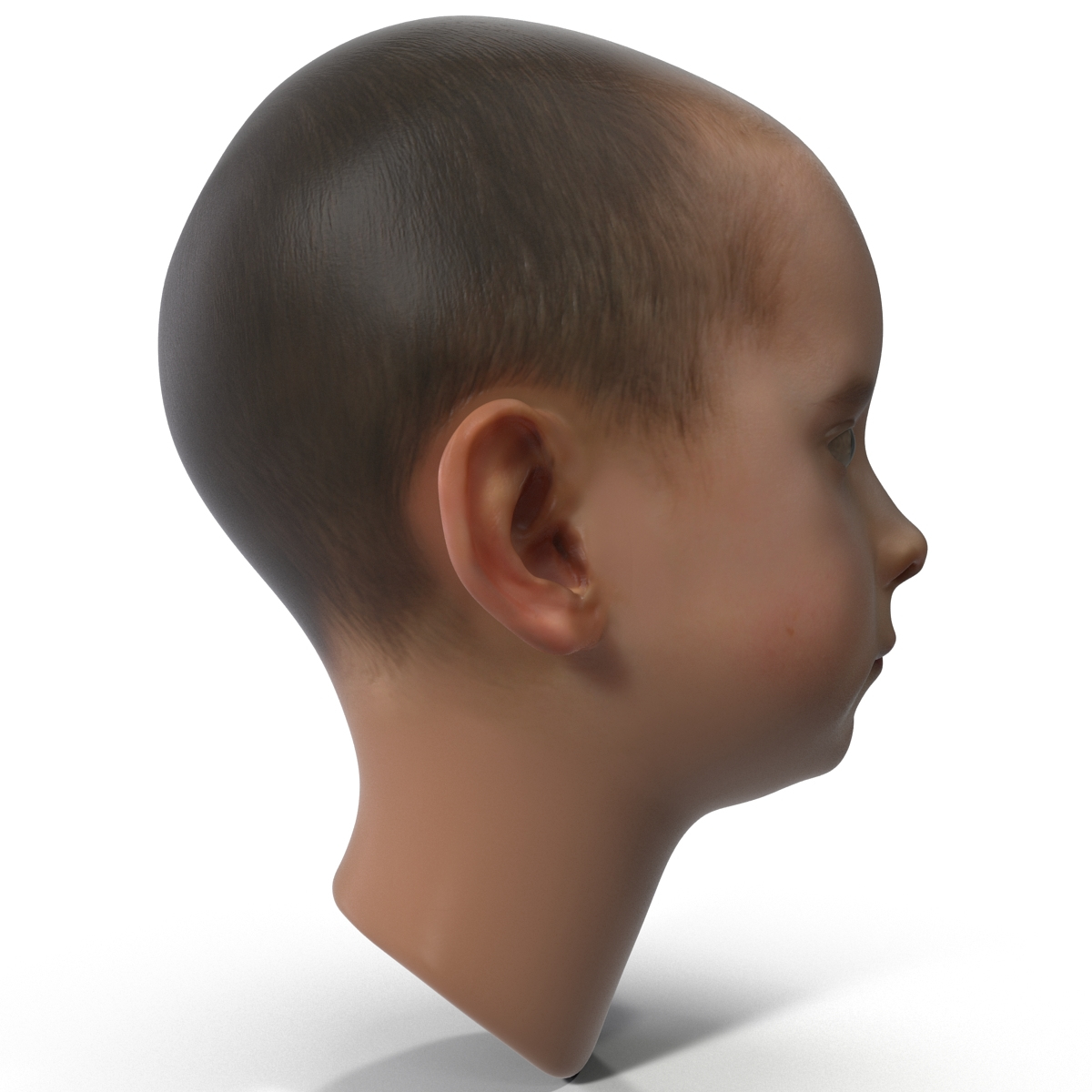 boy head 3d 3ds