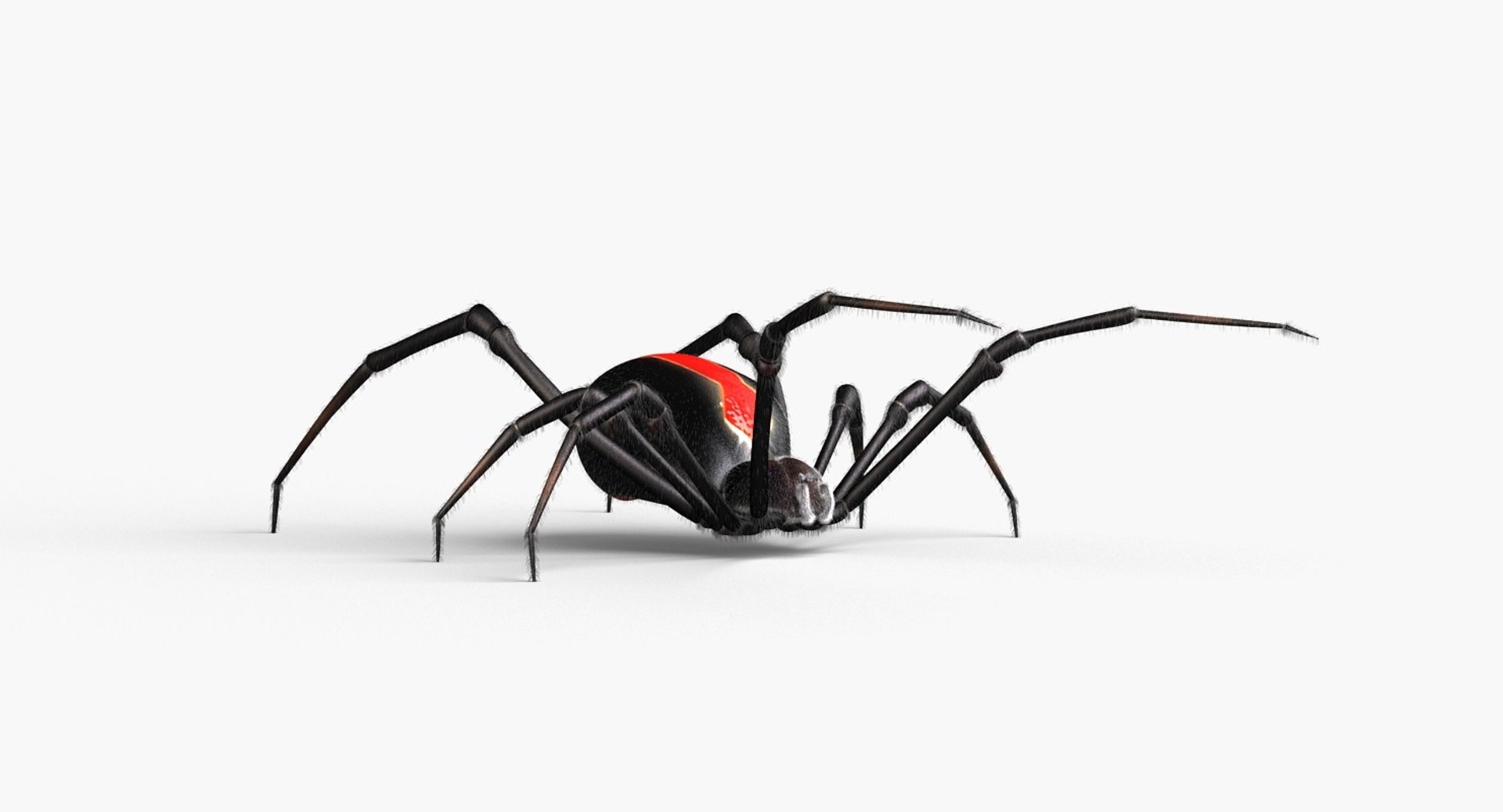 3d Red Spider Model