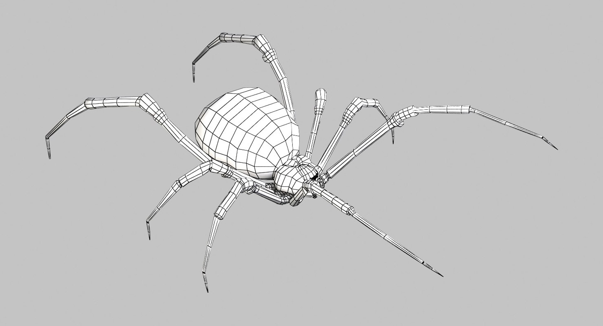 3d Red Spider Model
