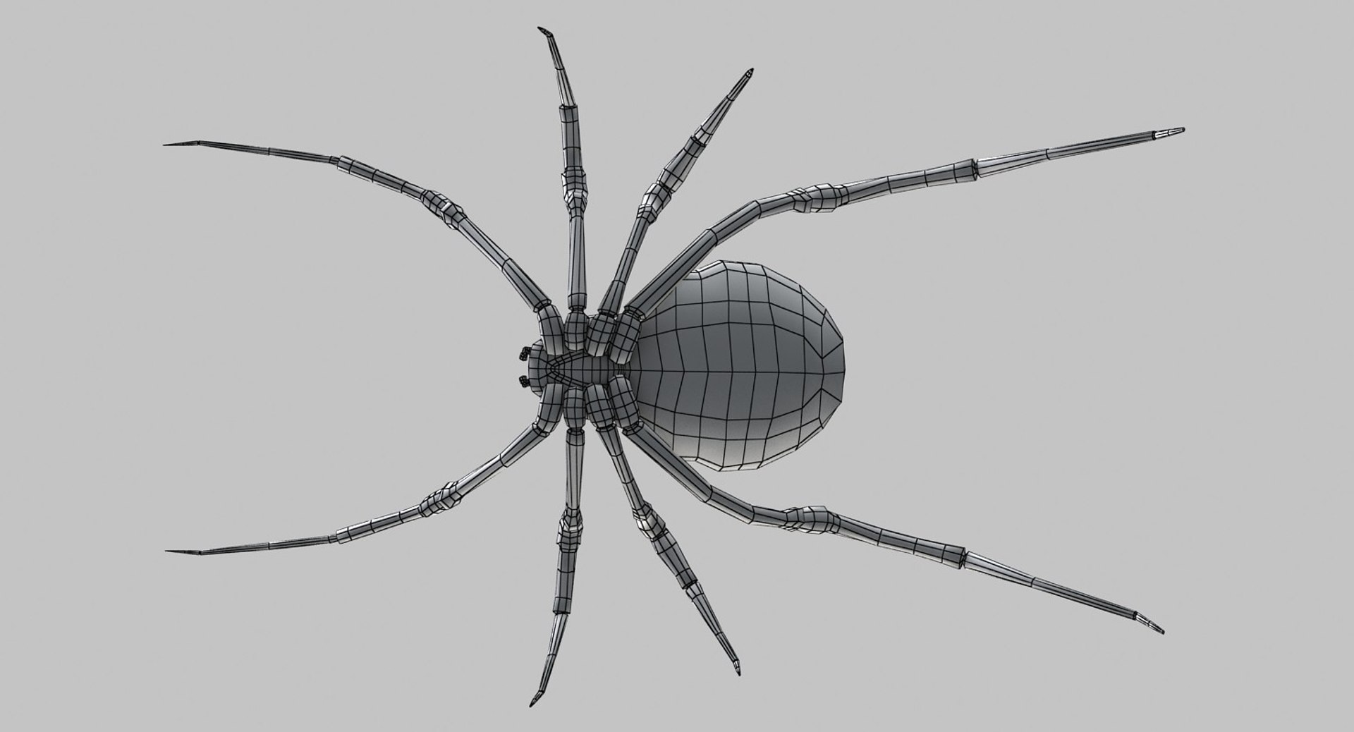 3d Red Spider Model