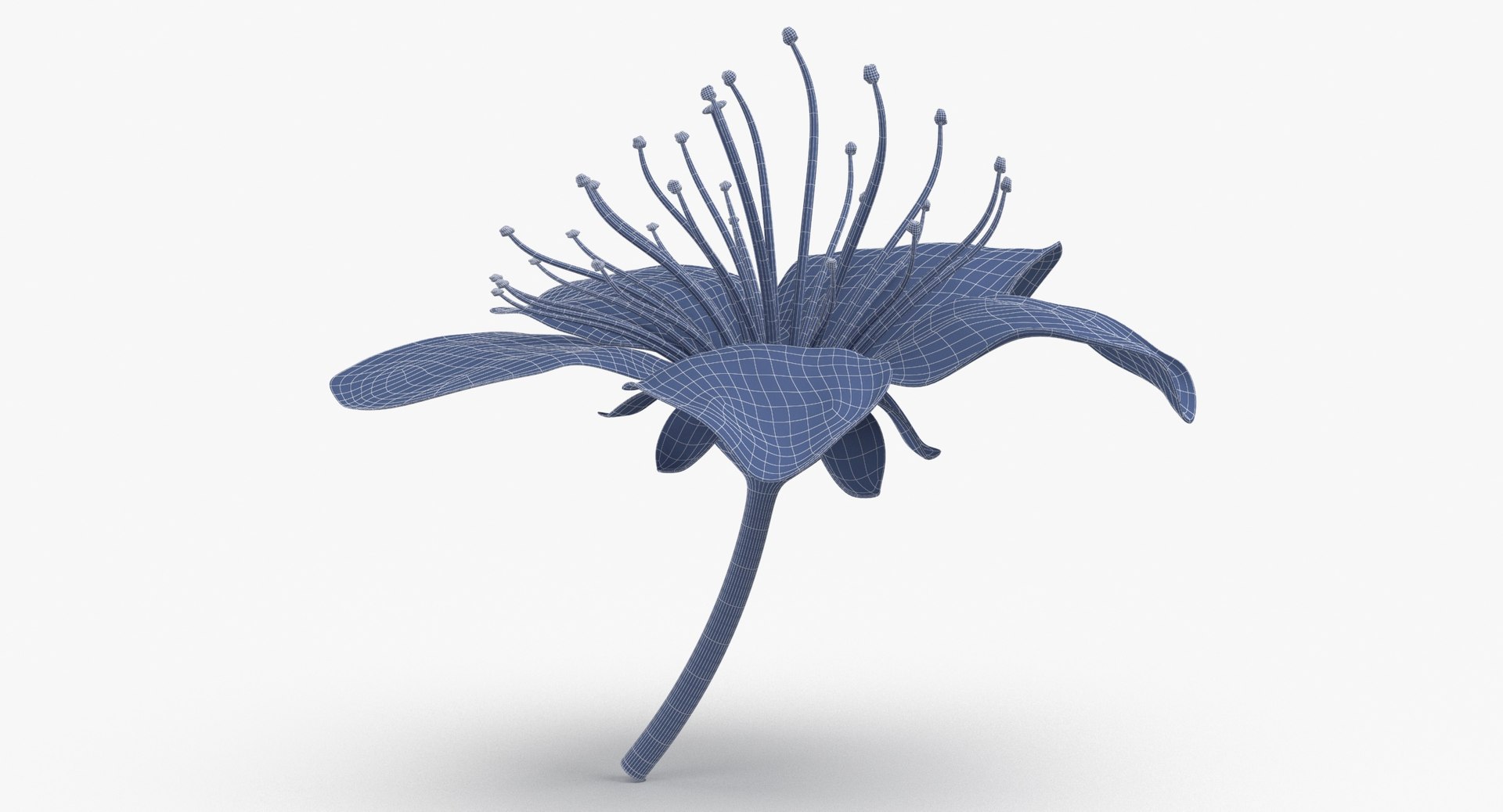 3D Model Prop 18 Cherry Blossom Sprig Type 02 - TurboSquid 2146769