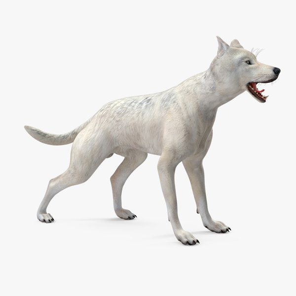 Free 3D Wolf Models | TurboSquid
