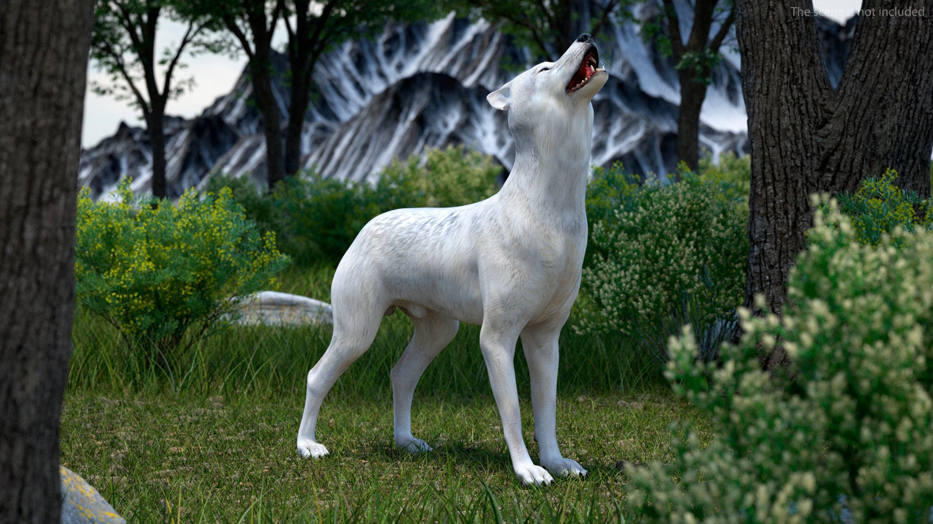 White Wolf Rigged For Maya 3D Model - TurboSquid 2250720