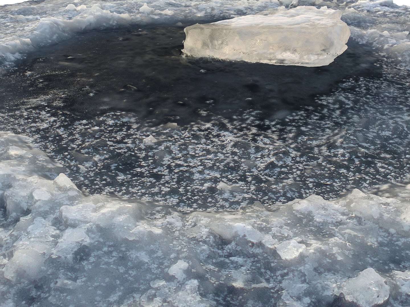 3d Frozen Puddle Hd Model