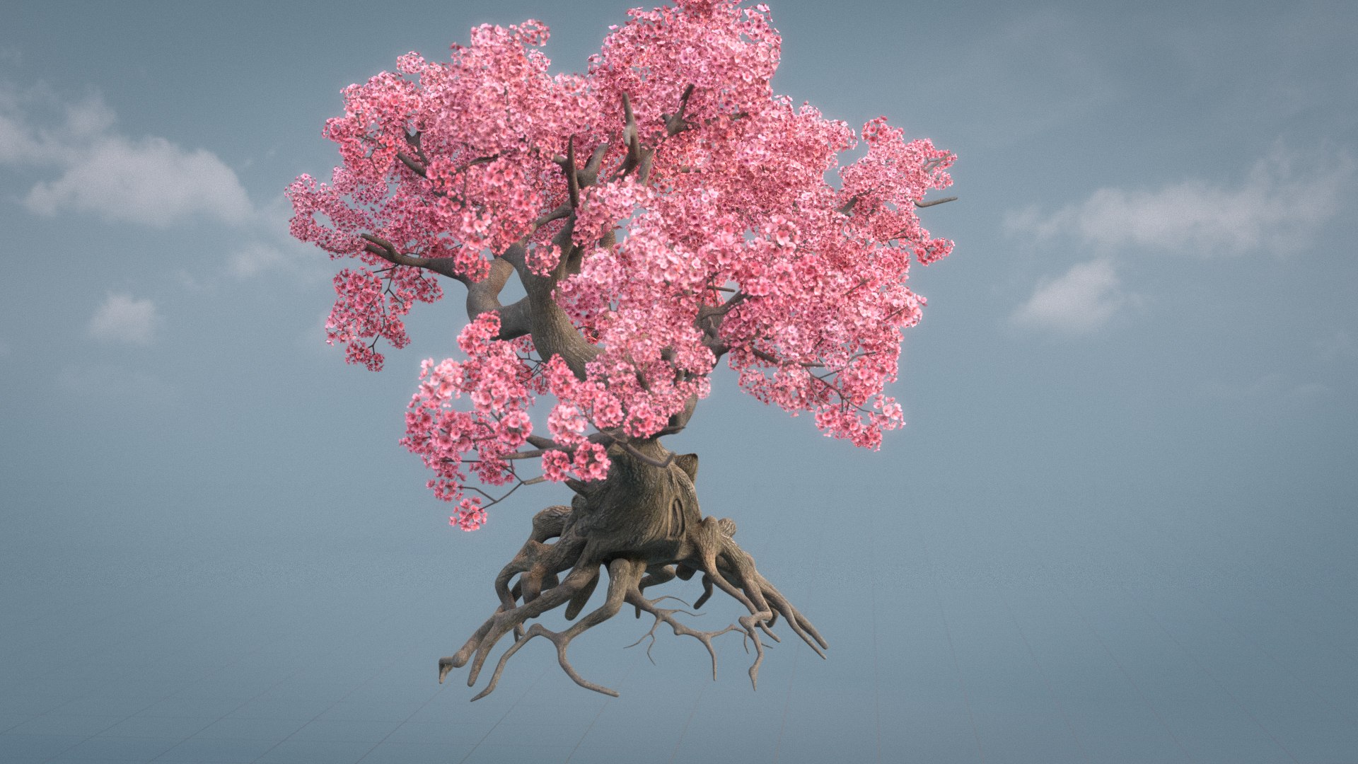 3D Model Cherry Blossoms - TurboSquid 1787823