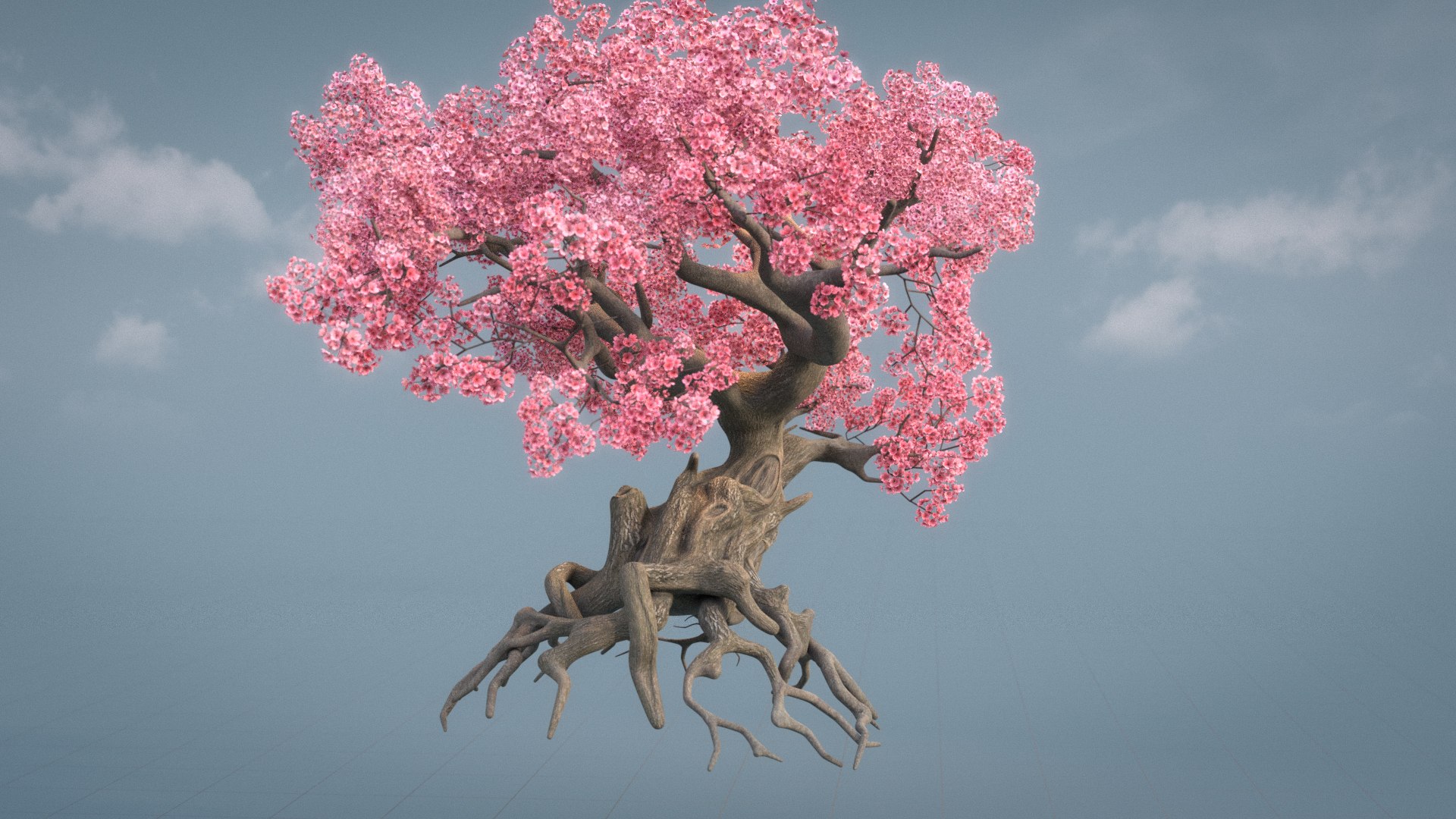 3D Model Cherry Blossoms - TurboSquid 1787823
