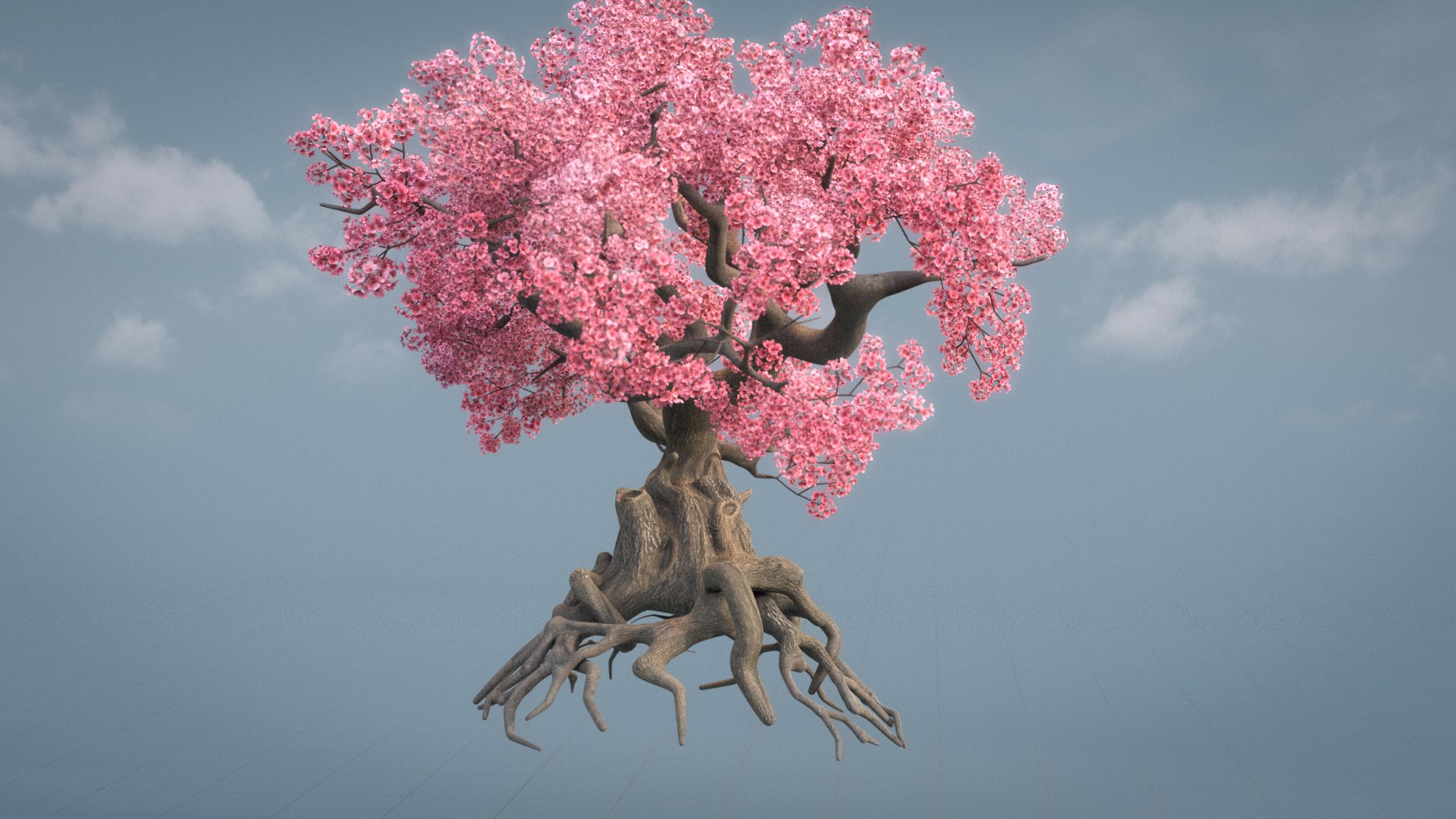 3D Model Cherry Blossoms - TurboSquid 1787823
