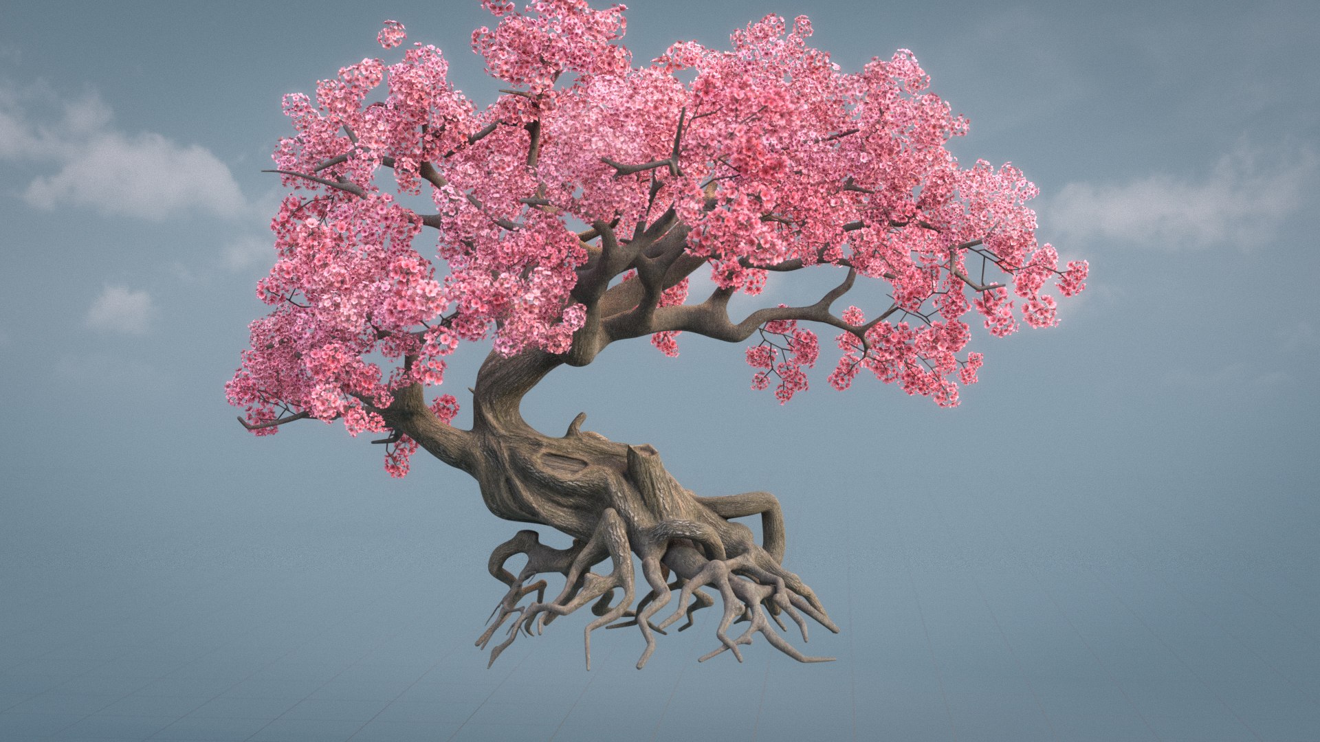 3D Model Cherry Blossoms - TurboSquid 1787823