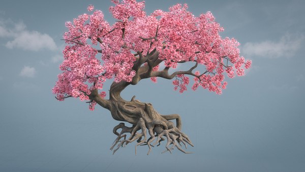 modelo 3d Flores de cerezo - TurboSquid 1787823