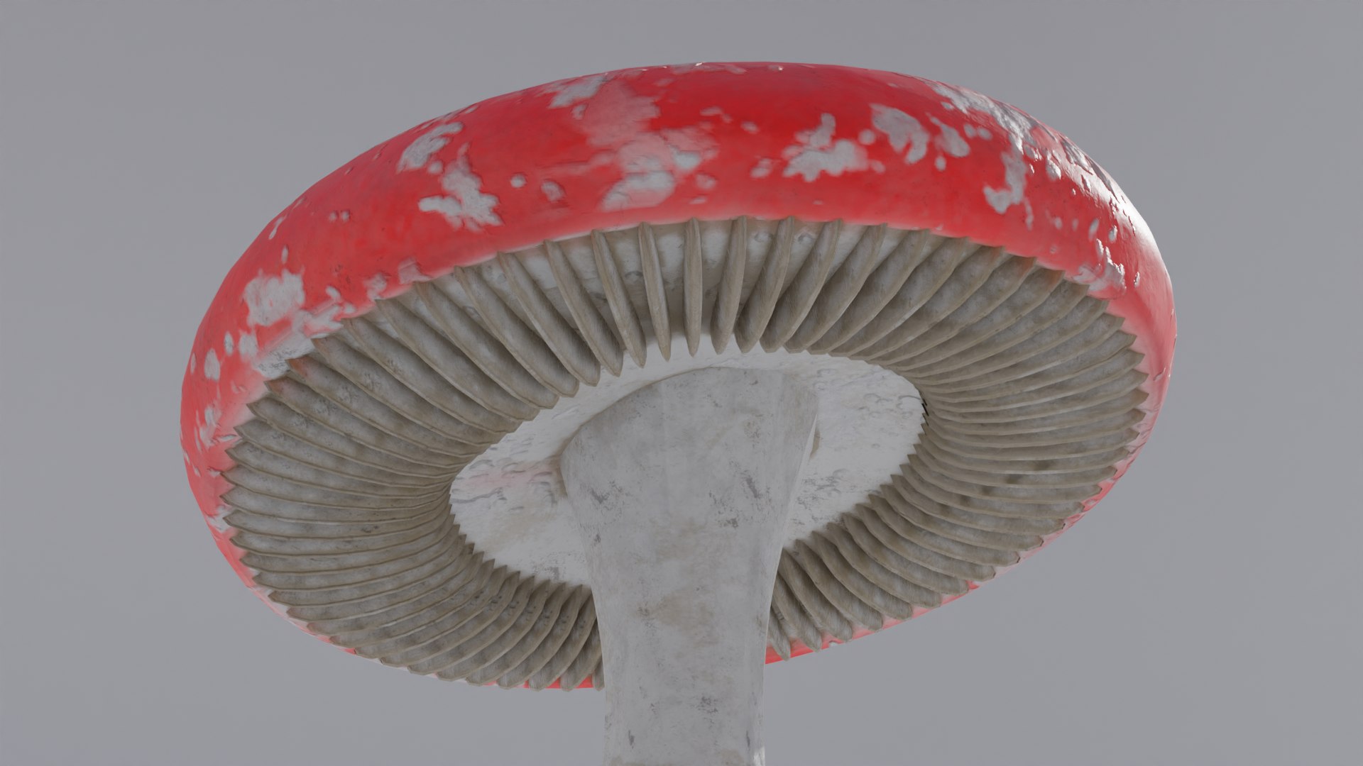 Fantasy Red Mushroom with 4K Textures model - TurboSquid 1961282