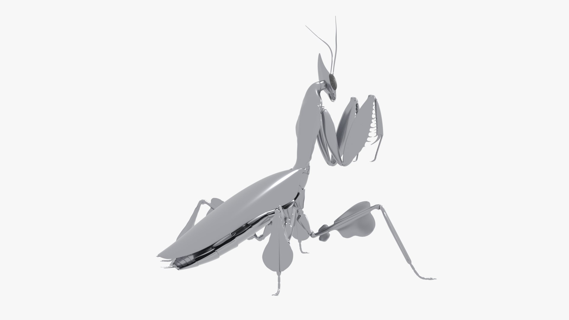 3D Model Praying Mantis Robot - TurboSquid 2431899