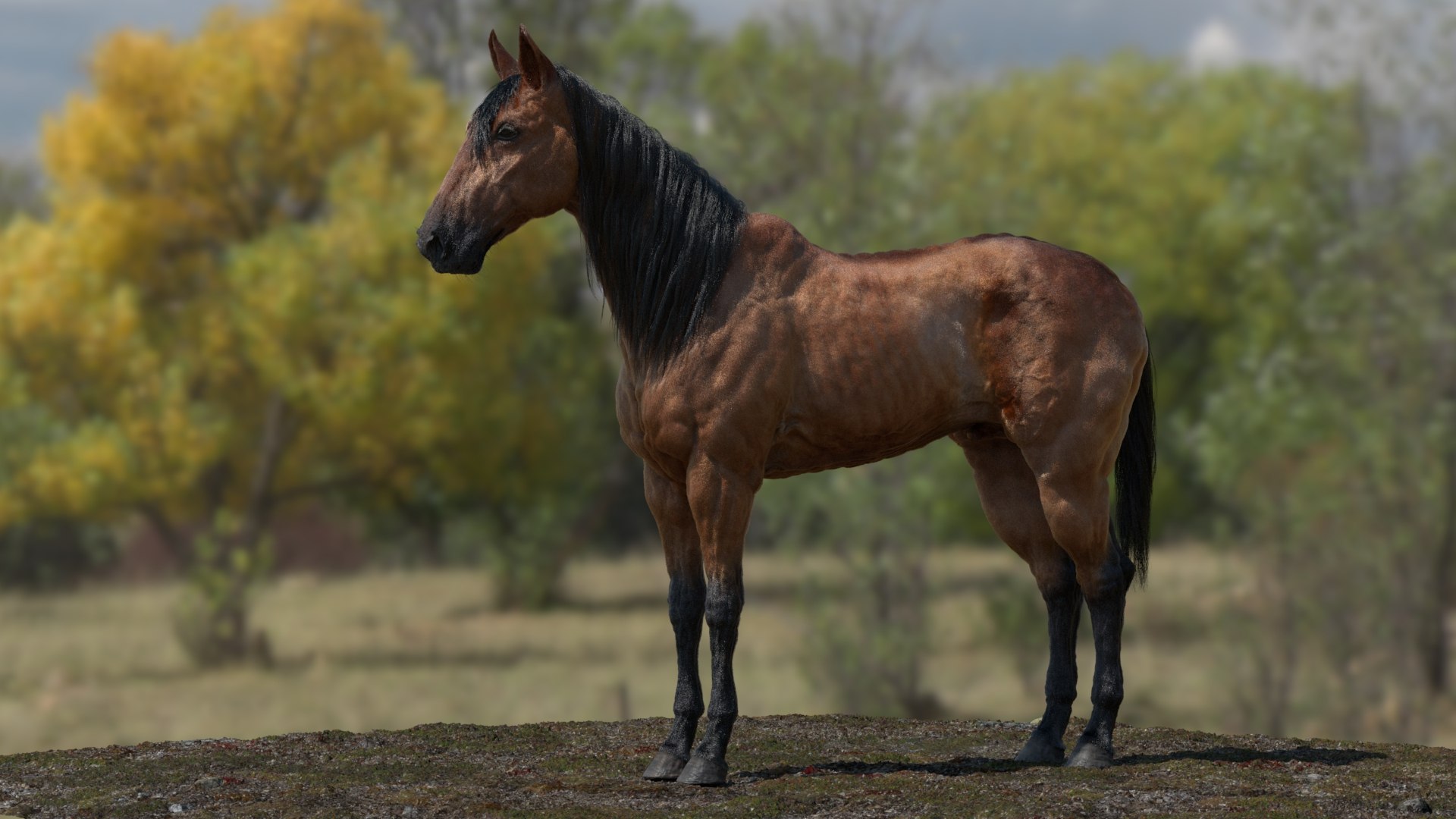 3D Horse RIGGED - TurboSquid 2292911