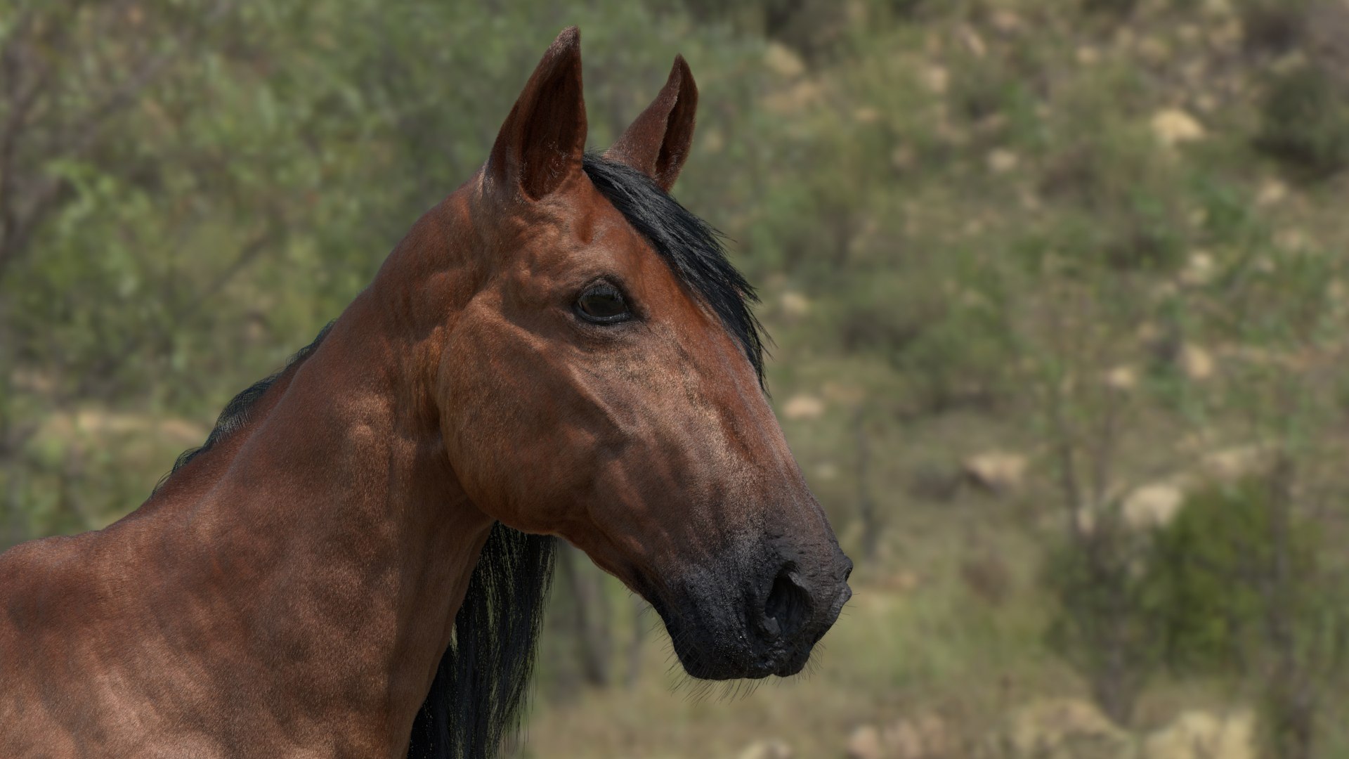 3D Horse RIGGED - TurboSquid 2292911