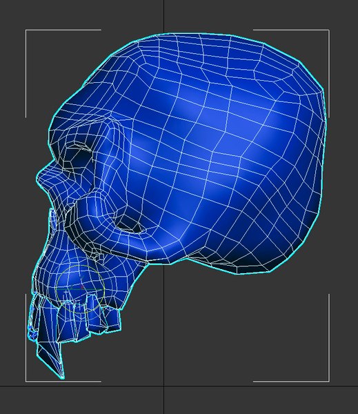 Skull 3D model - TurboSquid 1469502