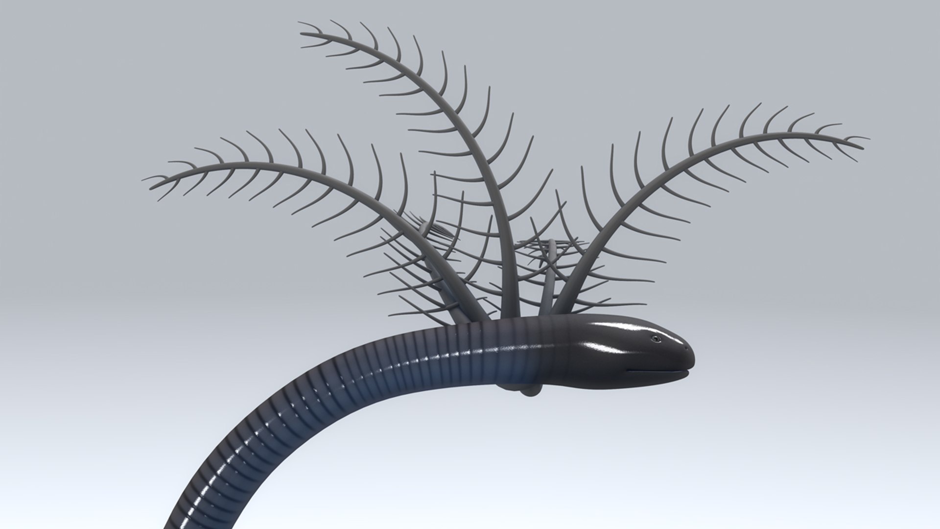 maya ichthyophis caecilians