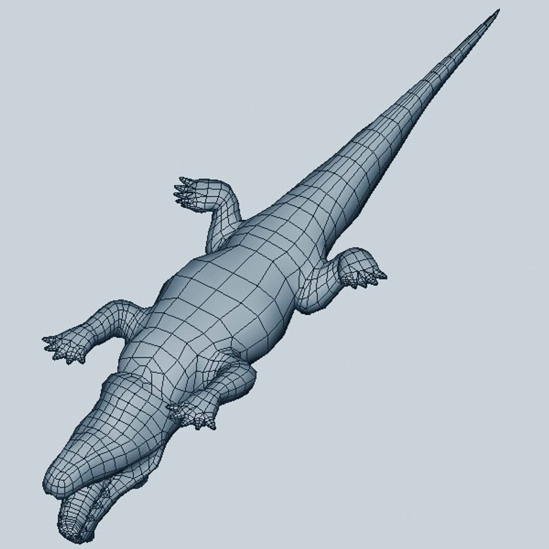 crocodil 3d model