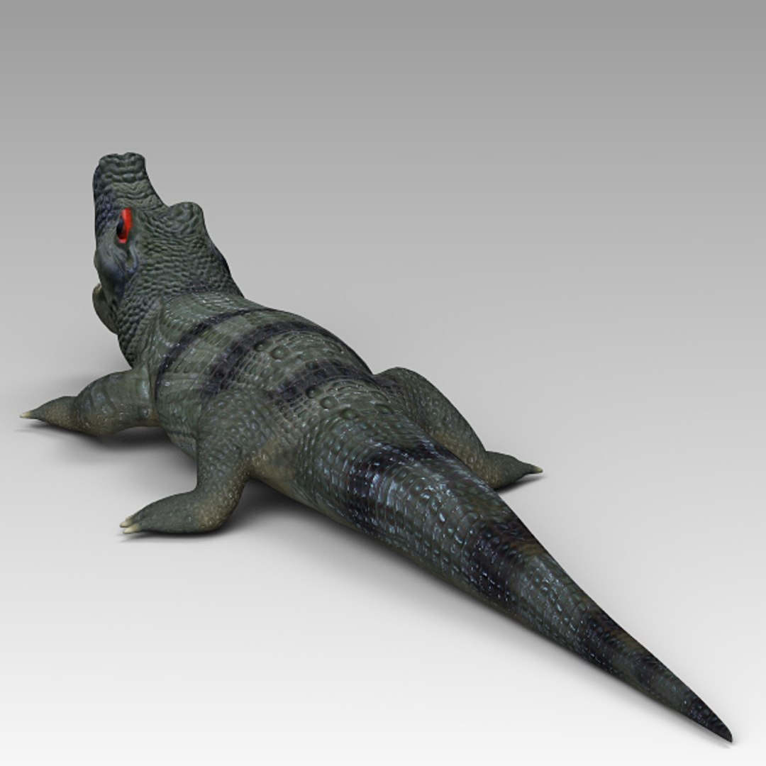 crocodil 3d model