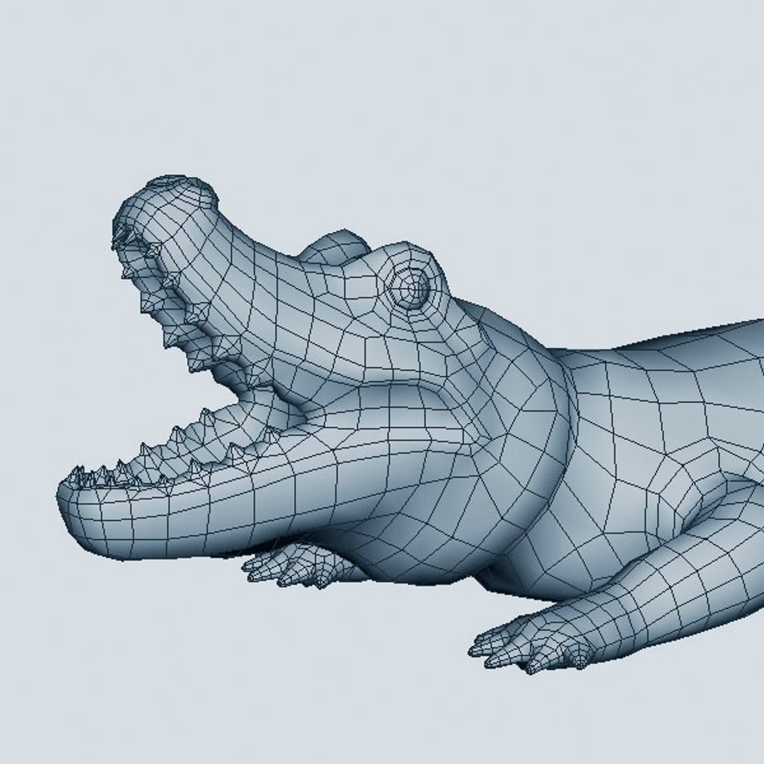 crocodil 3d model