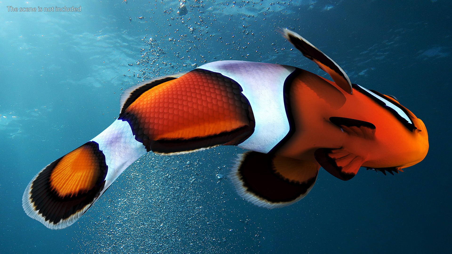 Tropical Clownfish 3D - TurboSquid 2235897