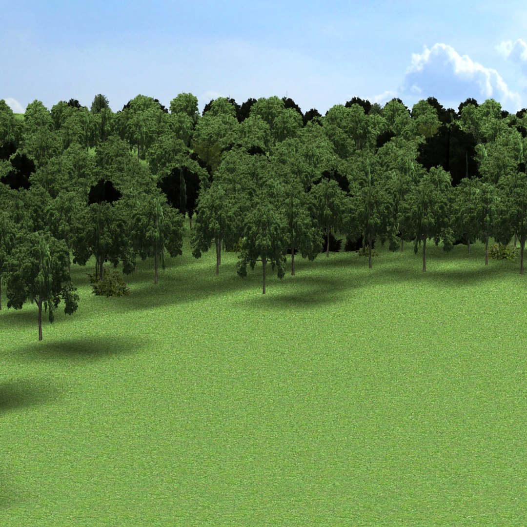 3d Landscape Environment Forest Model