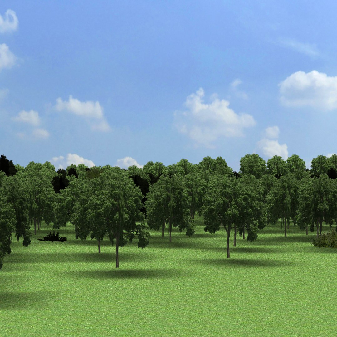 3d Landscape Environment Forest Model