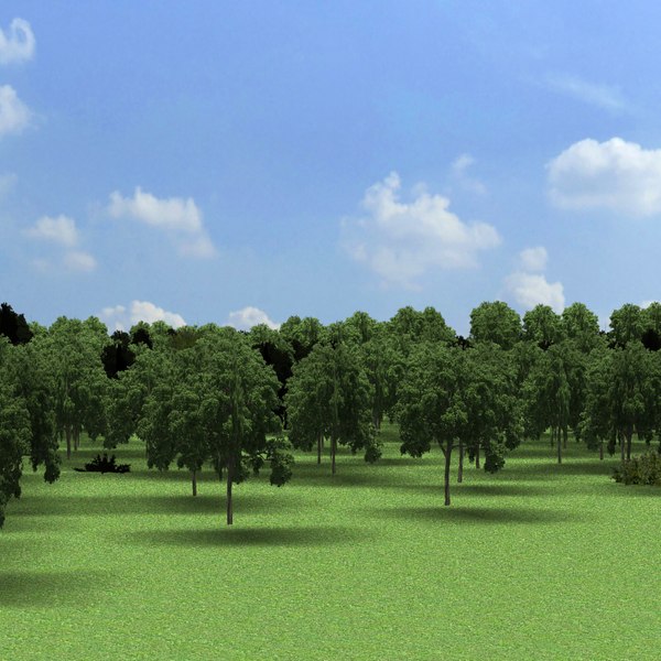 modelo 3d Entorno paisajístico bosque 01 - TurboSquid 621630