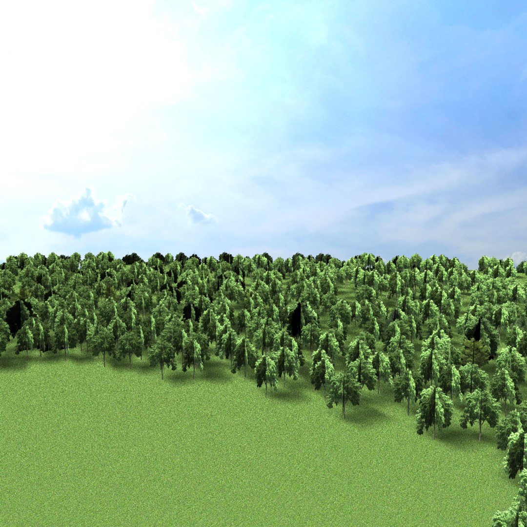 3d Landscape Environment Forest Model