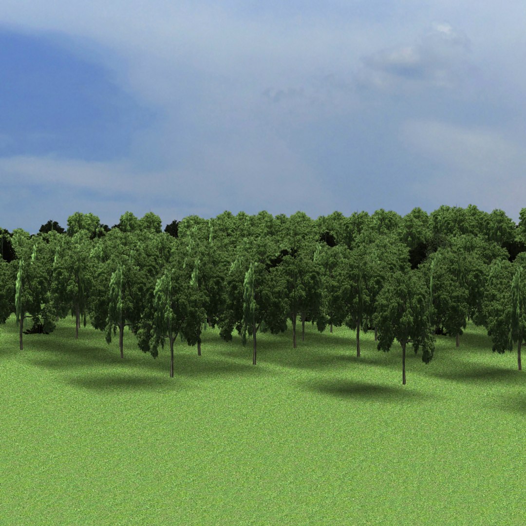 3d Landscape Environment Forest Model