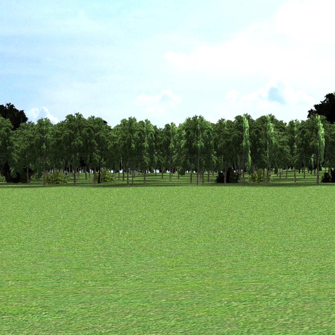 3d Landscape Environment Forest Model