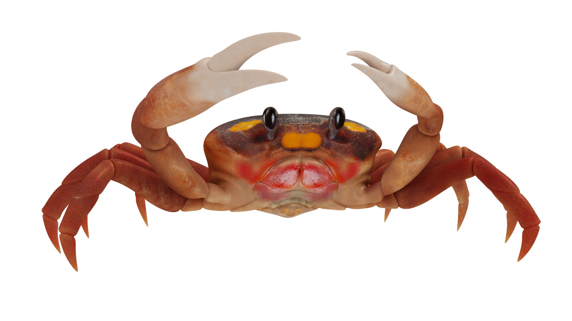 3D Halloween Moon Crab - TurboSquid 2378138