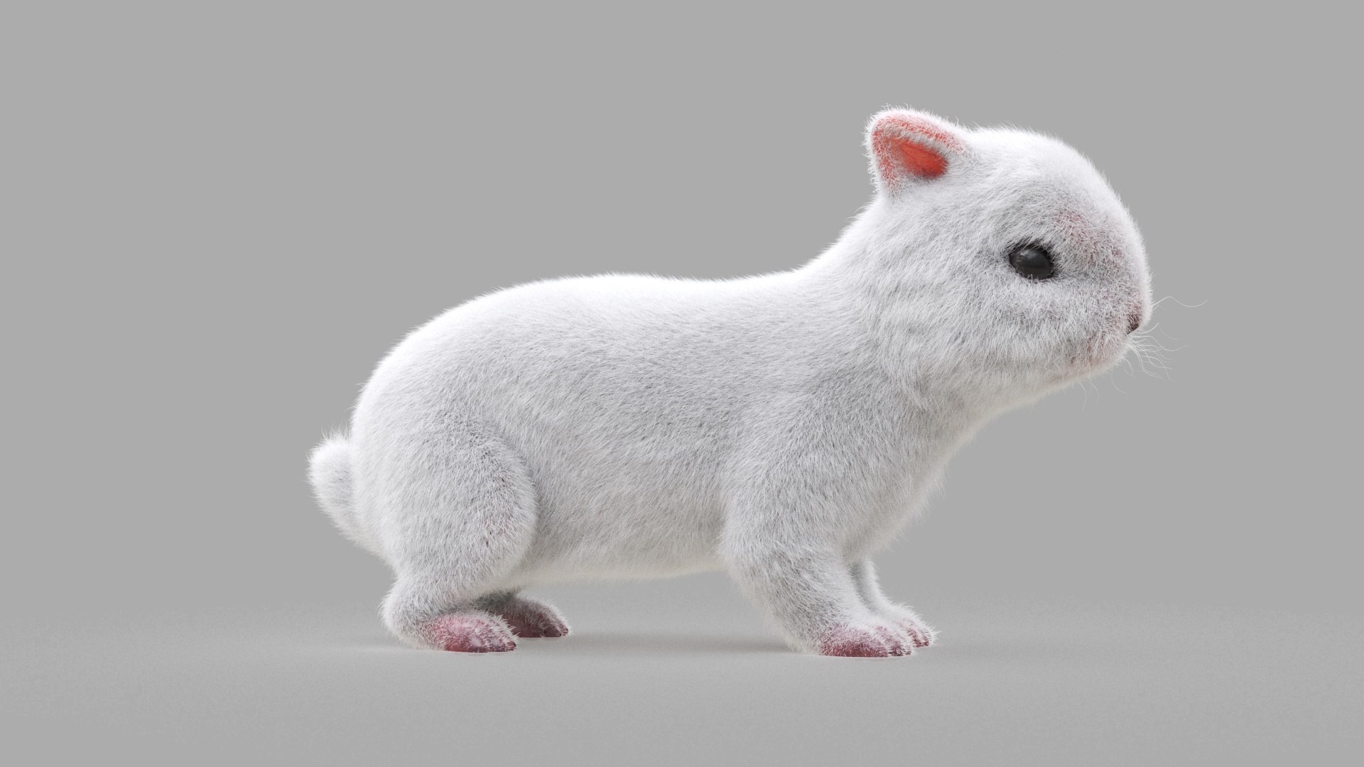 Bunny Model - TurboSquid 1962506