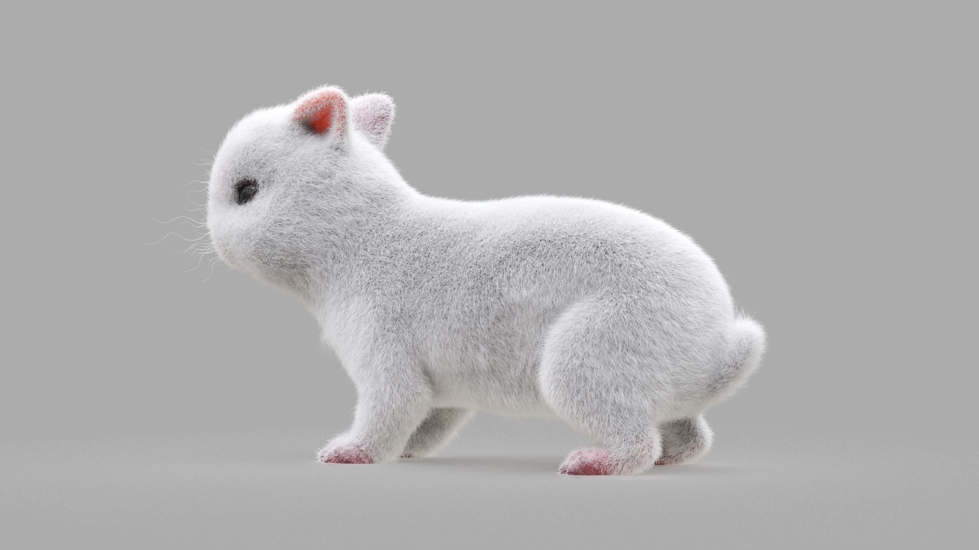 Bunny Model - TurboSquid 1962506