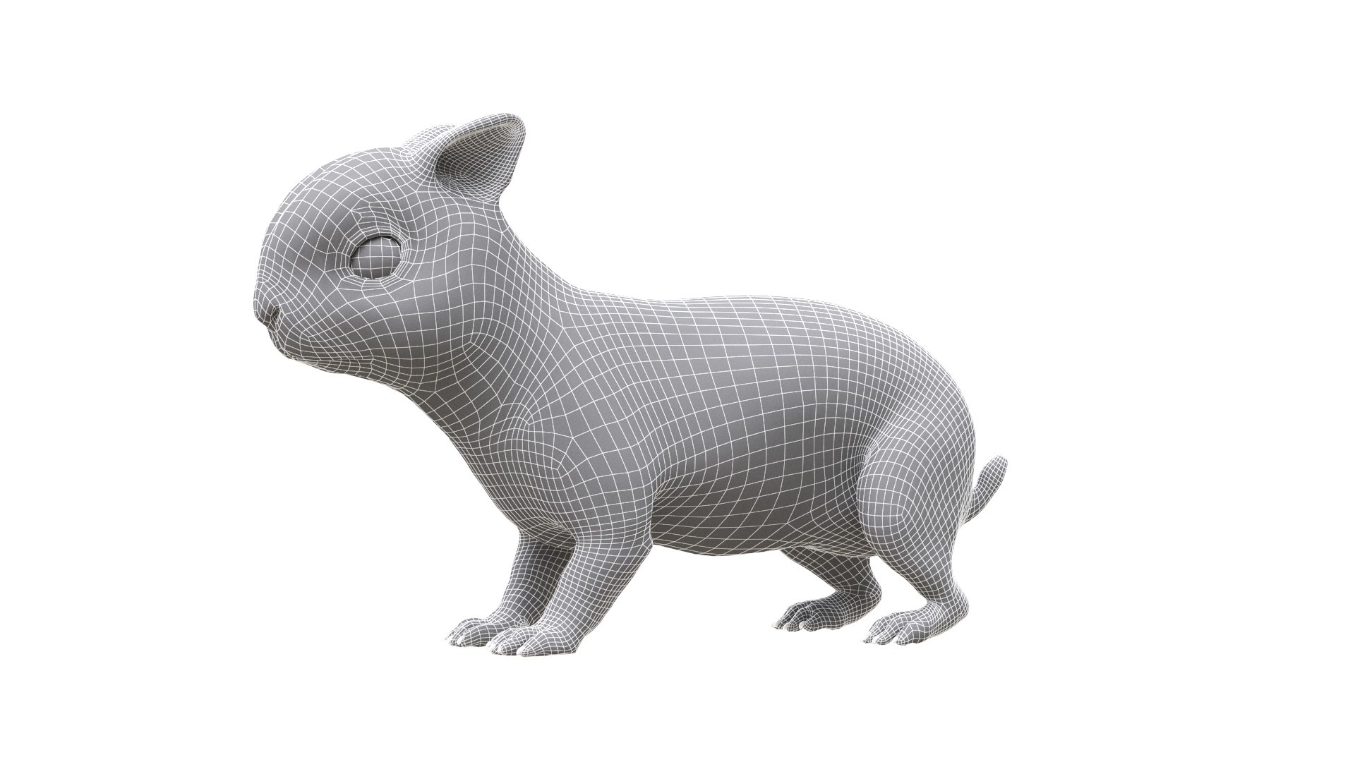 Bunny Model - TurboSquid 1962506