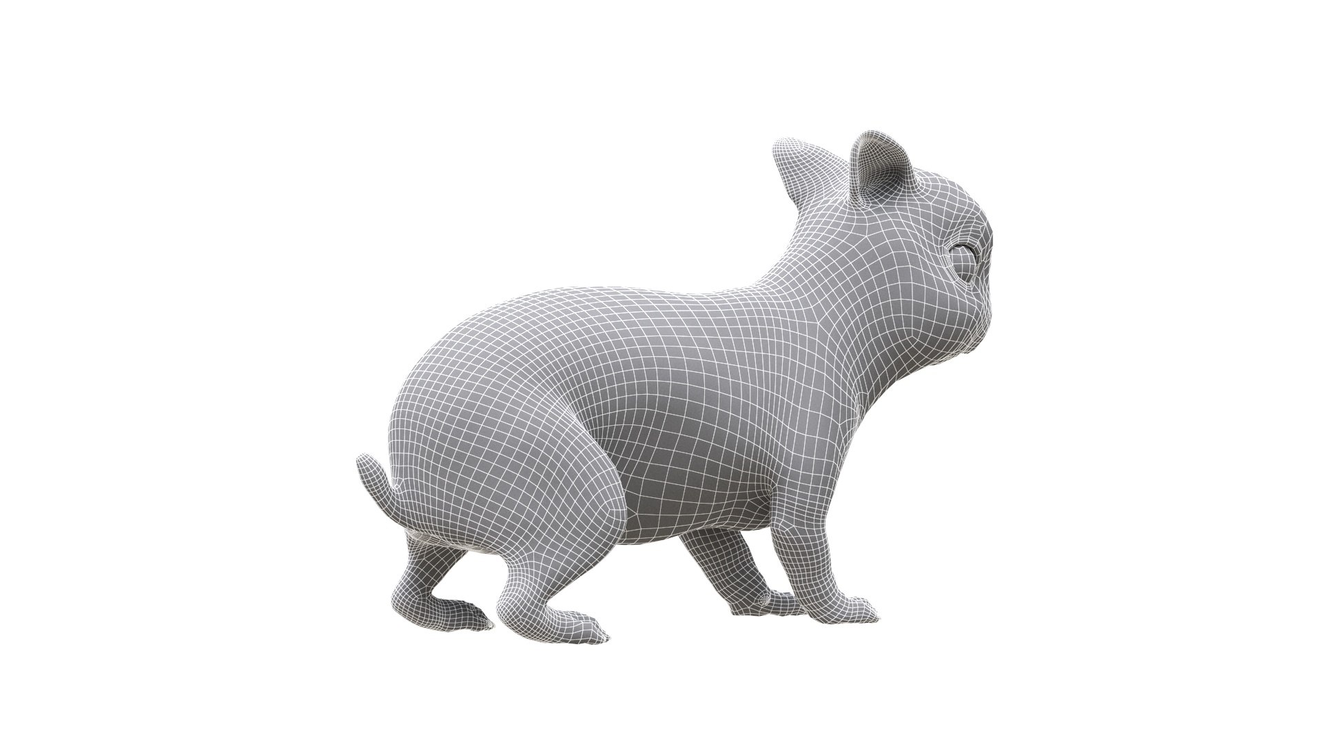 Bunny Model - TurboSquid 1962506