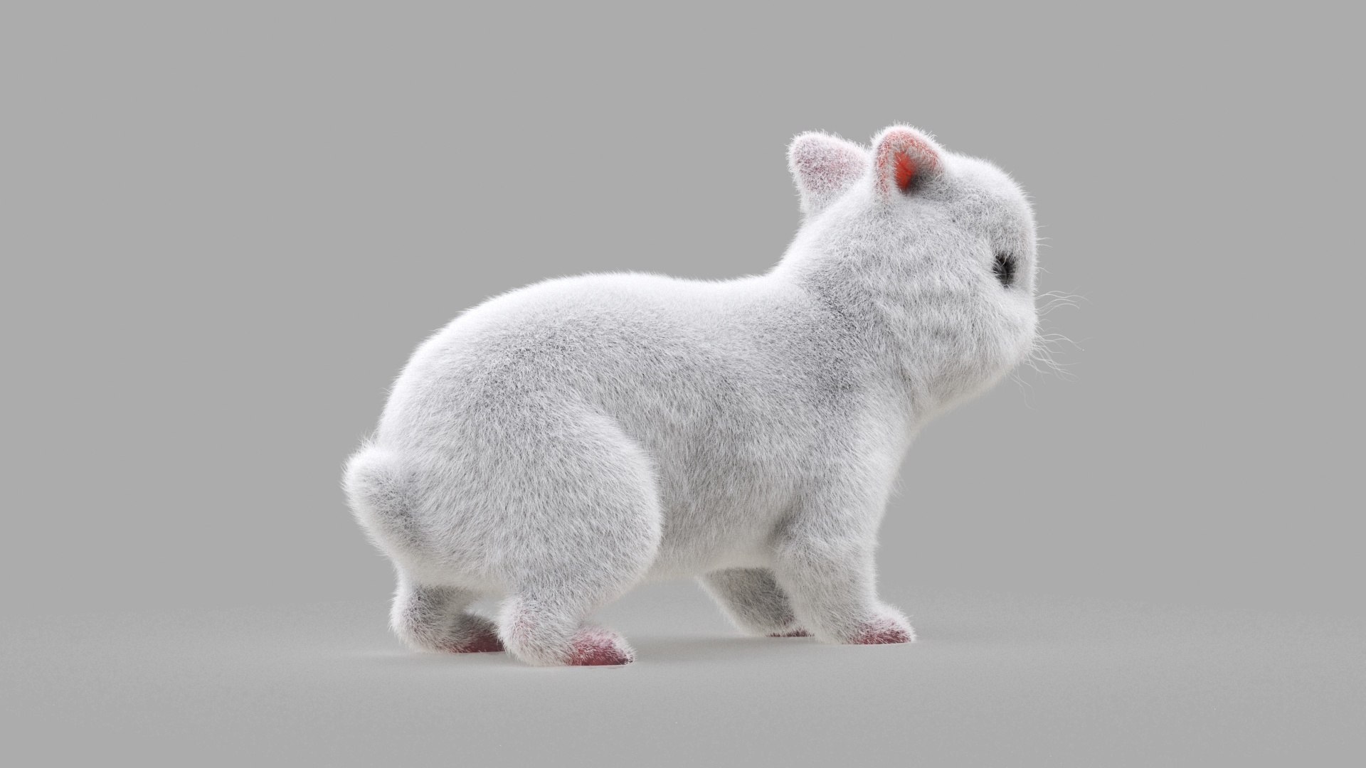 Bunny Model - TurboSquid 1962506