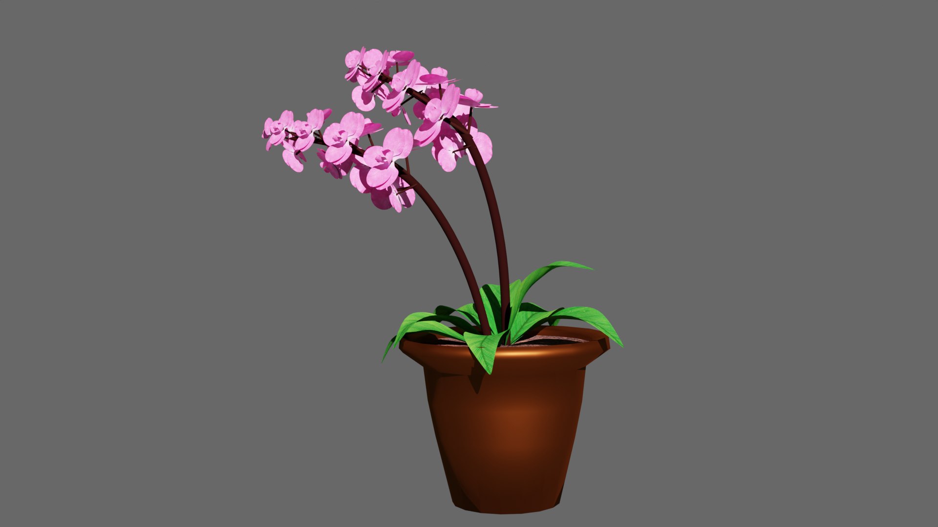 Free Drchid Flowers 3D Model - TurboSquid 2233747