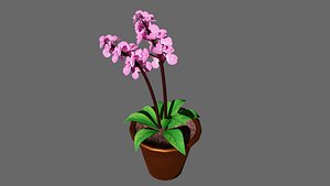 Free 3D Flower Models | TurboSquid