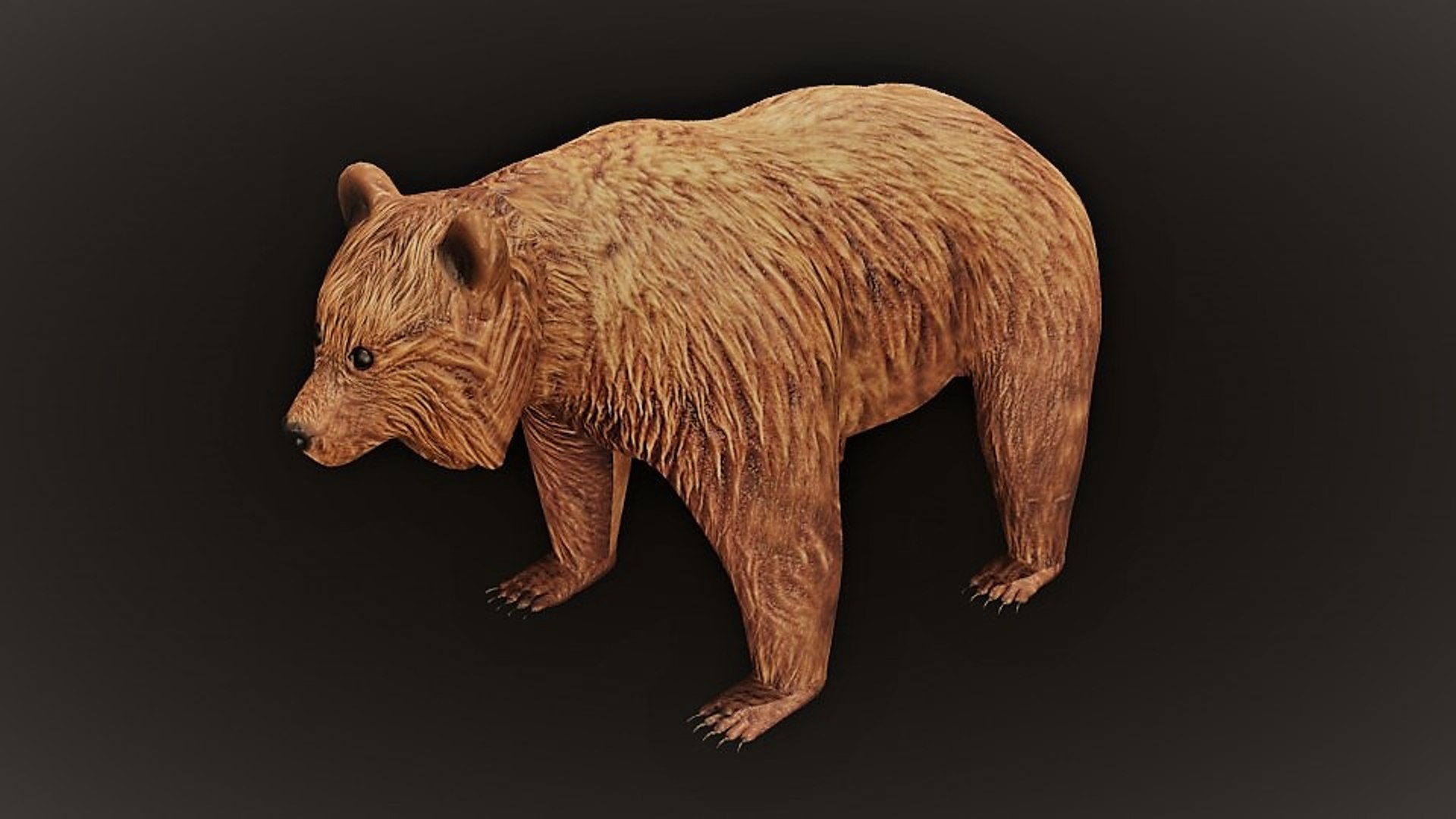 Bear Rigged 3D Model - TurboSquid 1652693