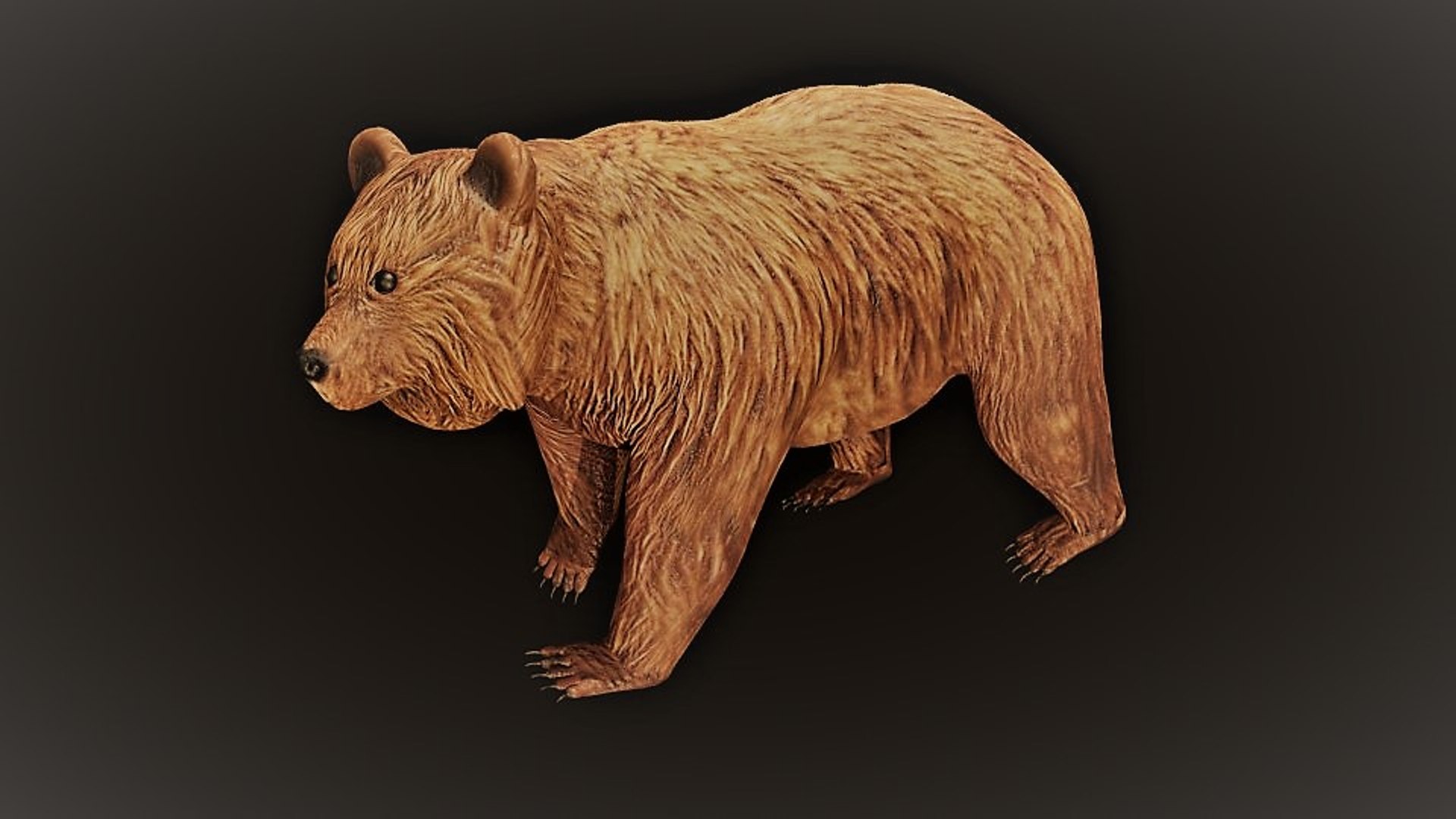 Bear Rigged 3D Model - TurboSquid 1652693