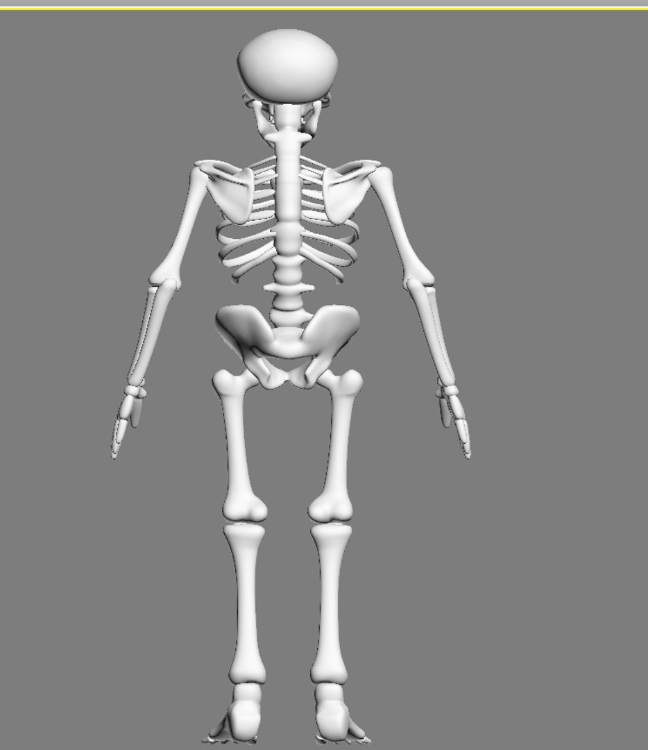 3D Cartoon Skeleton - TurboSquid 1349710