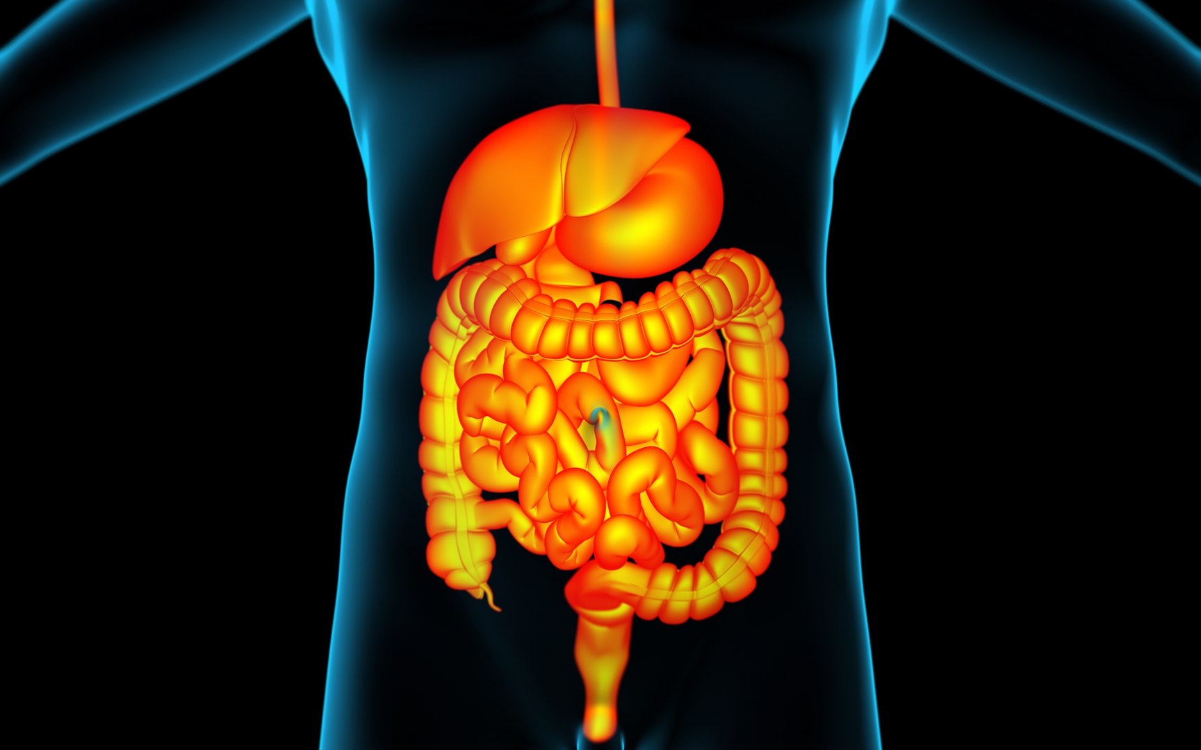 Digestive X-Ray 3D Model - TurboSquid 1988649
