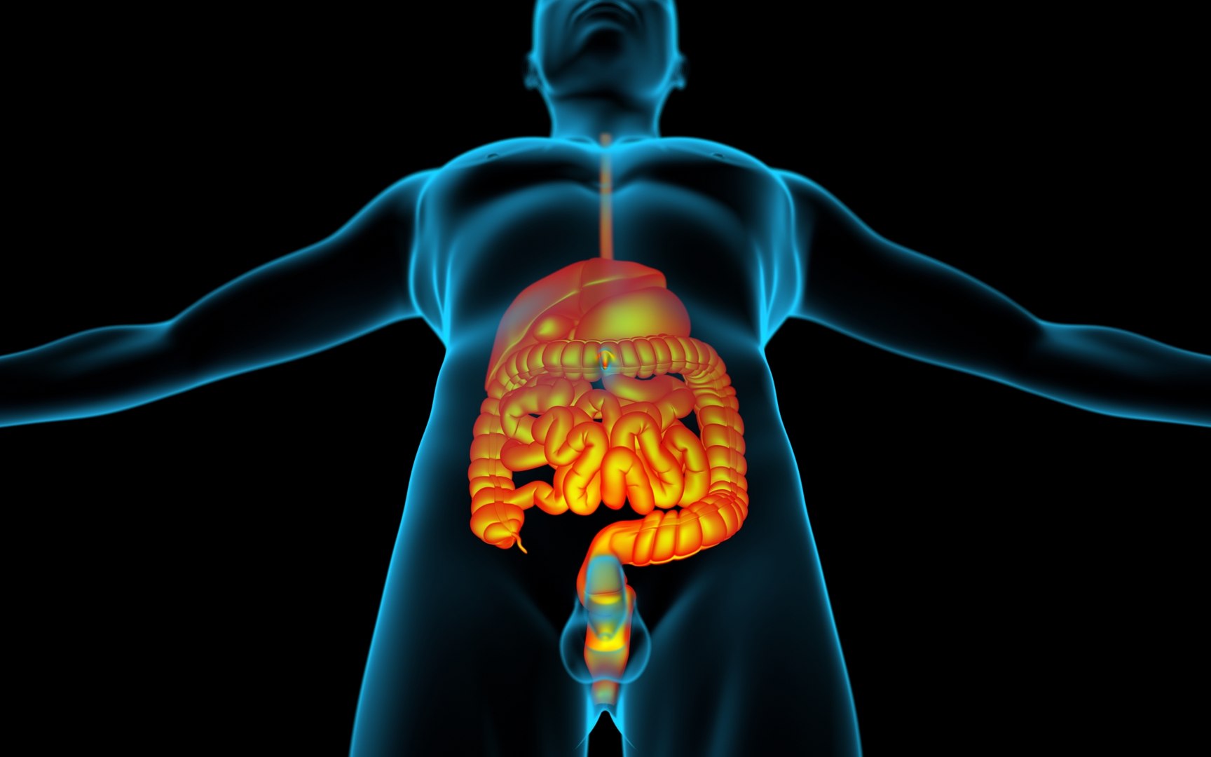 Digestive X-Ray 3D Model - TurboSquid 1988649