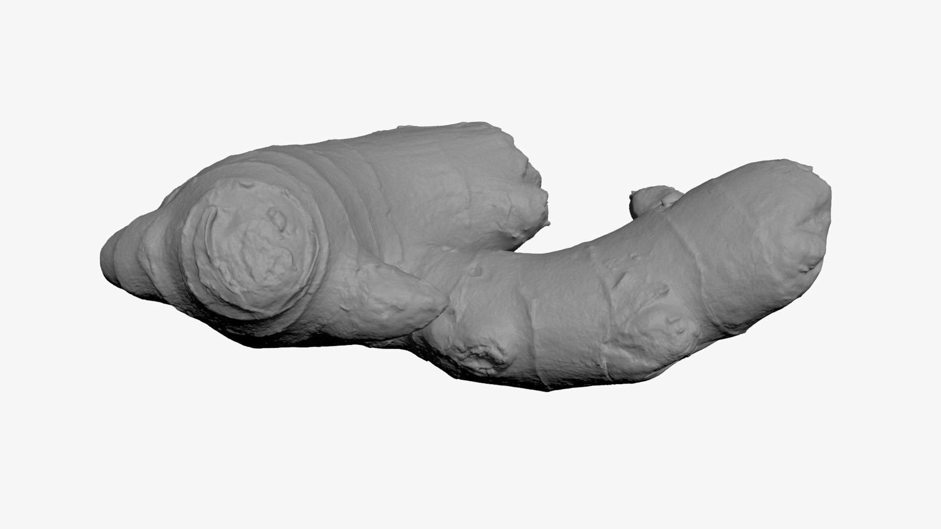 Ginger Root 03 For 3D Print Model - TurboSquid 2387964