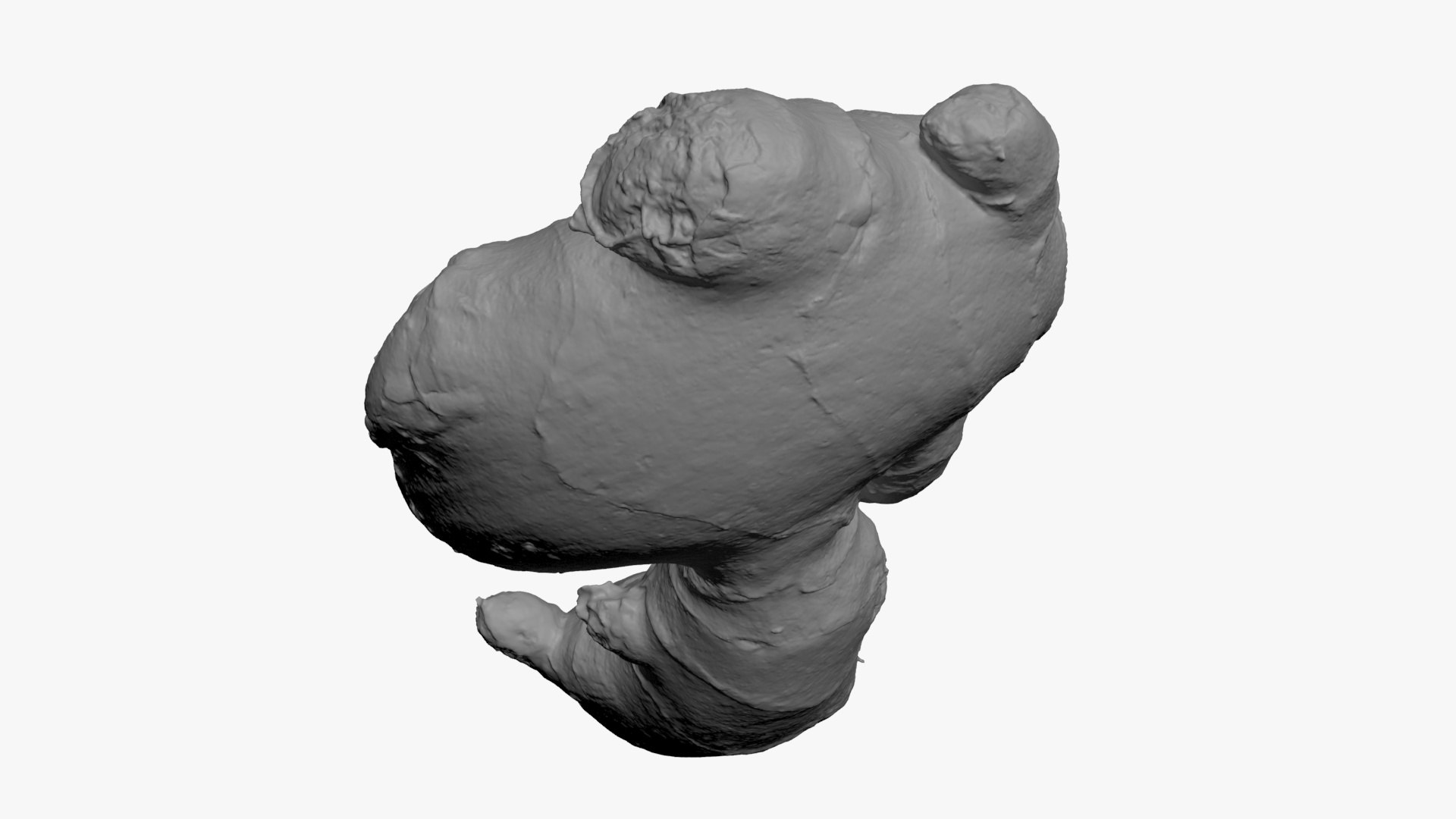 Ginger Root 03 For 3D Print Model - TurboSquid 2387964