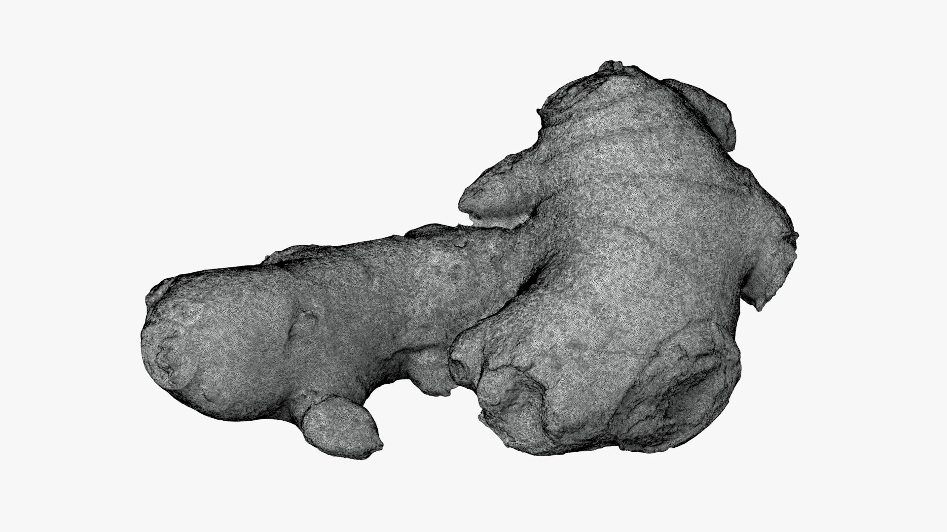 Ginger Root 03 For 3D Print Model - TurboSquid 2387964